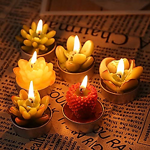 WANGMINGTU Succulent Cactus Tea Light Candles Unscented 6pcs Assorted for Birthday Party Favors Wedding Decor Gift Sets