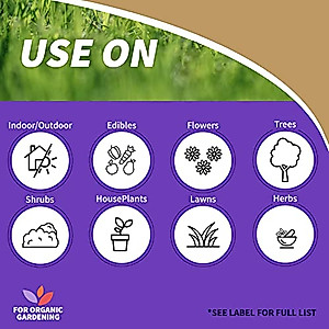 Bonide Captain Jack's Neem Max, 8 oz Concentrated Cold Pressed Neem Oil, Multi-Purpose Insecticide, Fungicide, Miticide and Nematicide for Organic Gardening