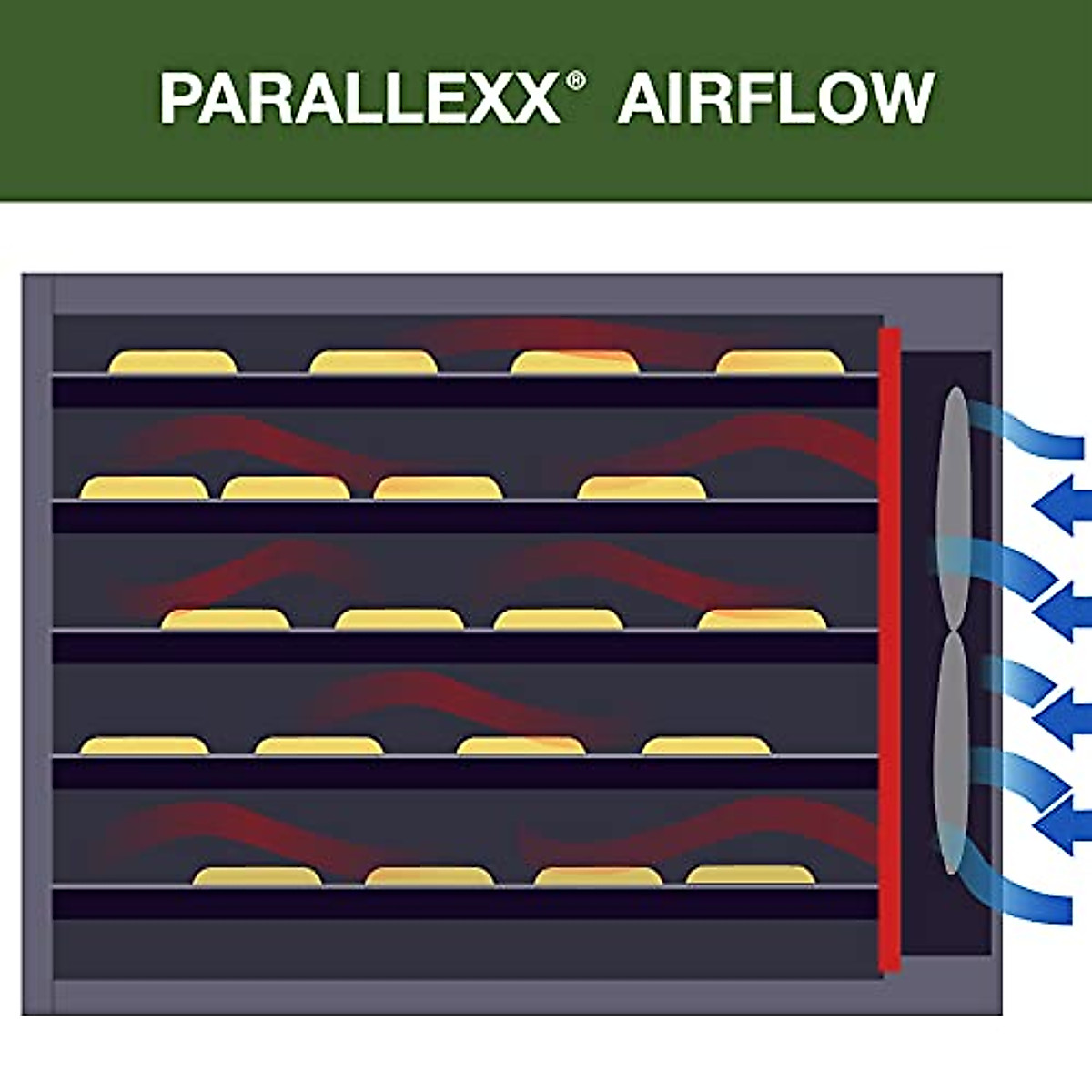 Excalibur 3900B Electric Food Dehydrator Machine with Adjustable Thermostat Accurate Temperature Control and Fast Drying, 600 W, 9 Trays, Black