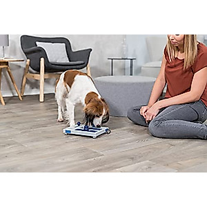 TRIXIE Mini Mover Strategy Game, Advanced Dog Puzzle Toy, Level 3 Activity, Treat Puzzle, Interactive Play, Enrichment