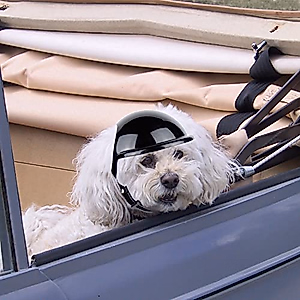 Enjoying Dog Helmet Motorcycle Hats with Ear Holes Pet Helmet Dog Hard Hat Safety Riding for Small-Large Dogs, Medium
