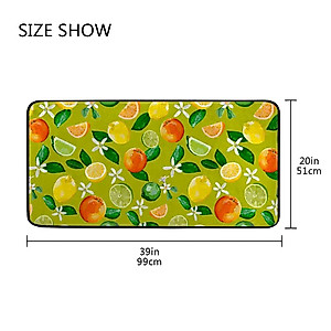 Lemons and Citrus Fruits Pattern Indoor Kitchen Mat Door Mats Welcome Mats for Front Door Non Slip Rug Pads Washable Rugs 39" X 20"