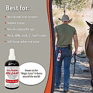Four-Oaks Farm Ventures, Natural Release Muscle Spray Treatment - Horse Liniment for Sore Muscles, Joint Pain, Tendon & Inflammation Relief - Easy to Use, Fast Acting, Alcohol & Menthol Free (8 oz)