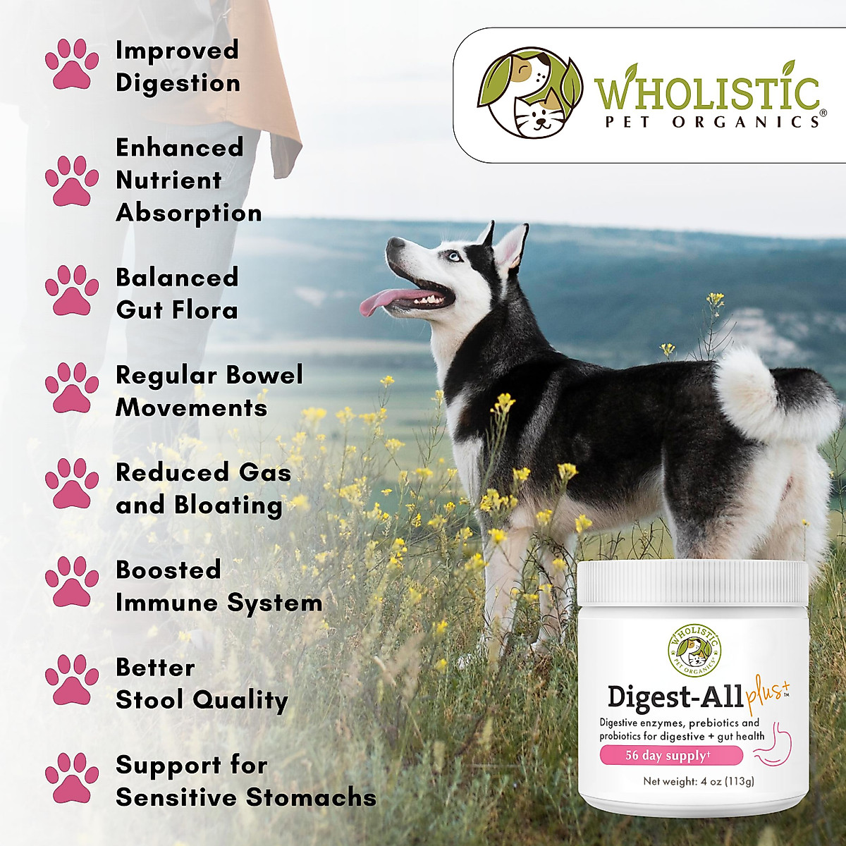 Wholistic Digest-All Plus Dog Probiotics & Digestive Enzymes - 4 Oz - Cat Probiotics for Digestive Health - Dog Supplement Powder for Homemade Food