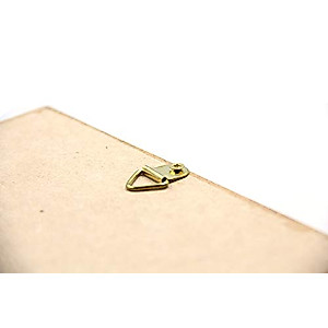 Angelwing Real Leaf Insect Beetle Bug Green Brown Taxidermy Butterfly Insect Box Framed Display