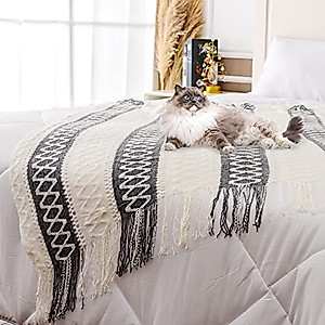Quinnsus Knit Throw Blanket for Bed, Soft Lightweight Decorative Bed Throw Blankets, Jacquard Textured Boho Summer Throw Blanket with Tassels for Bed, Sofa and Living Room (Grey, 50 x 60 inches)