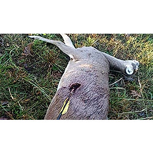 Fire-N-The-Hole Chisel Tip Ring Broadhead Compound Bow 100 Grain 3 Pack