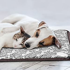 Pet Heating Pad, Cat Electric Heating Mat Waterproof, Pets Heated Bed Adjustable Dog Bed Warmer Electric Heating Mat with Chew Resistant Steel Cord (17.7x17.7, Flower)