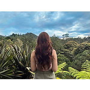 1 Pack Of Auburn Henna Hair & Beard Color/Dye 100 Grams - Natural Hair Color, Plant-based Hair Dye - The Henna Guys