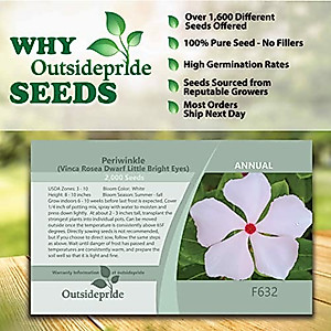 Outsidepride Periwinkle Vinca Bright Eyes Garden Flowers & Ground Cover Plants- 2000 Seeds
