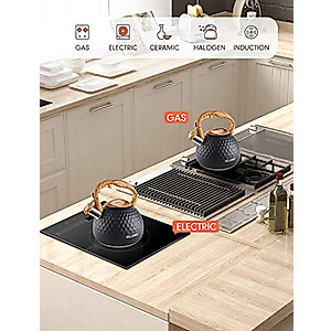 Tea Kettle, 2.7 Quart / 3 Liter BELANKO Stainless Steel Tea Kettles for Stove Top, Food Grade Teapot with Wood Pattern Handle Loud Whistling for Coffee, Milk etc, Gas Electric Applicable - Black