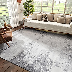 AMOAMI Area Rugs 5x7 Distressed Modern Abstract Washable Rug Soft Fluffy Indoor Carpet Non Slip Area Rug for Living Room Bedroom Dining Room Playroom Office