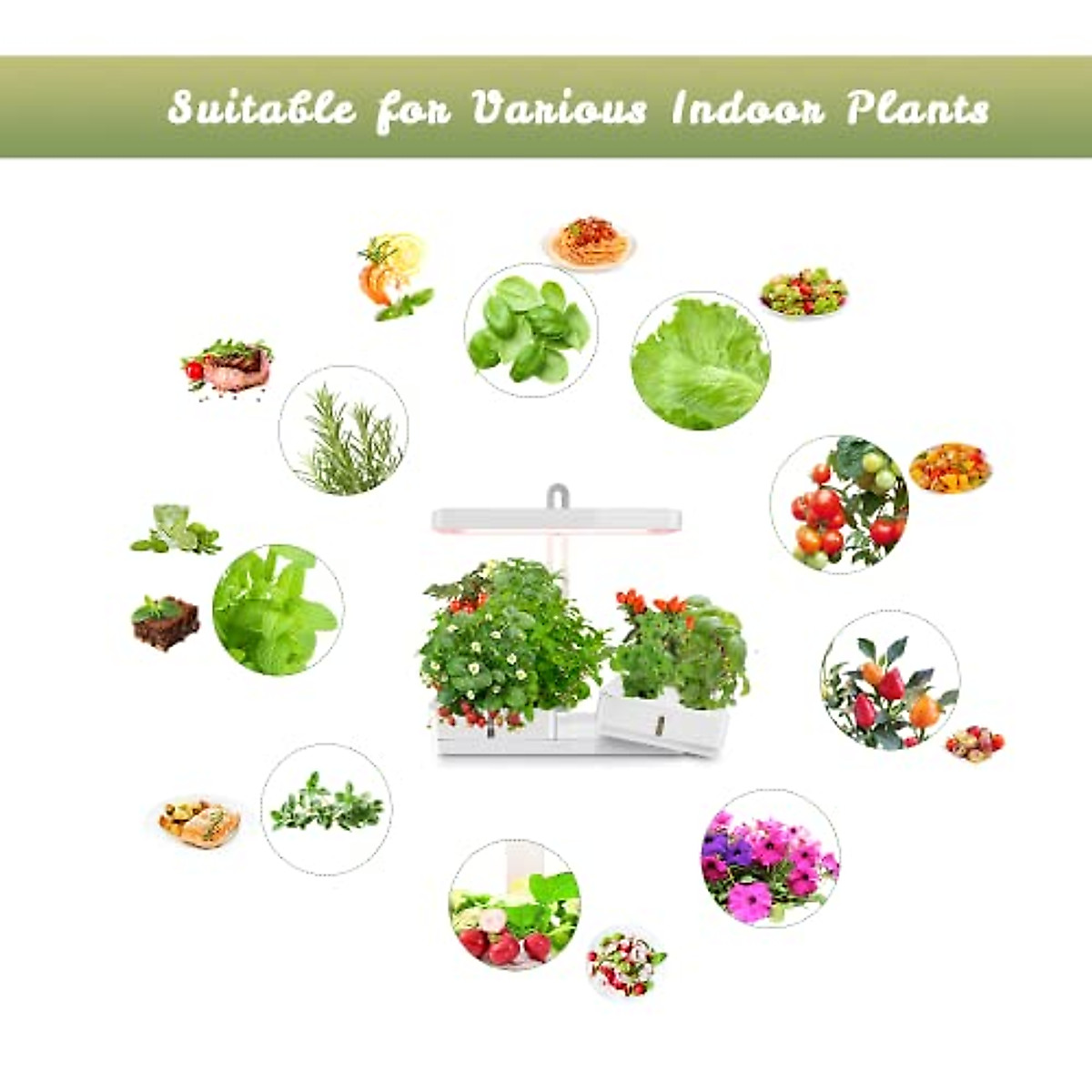 GrowLED Indoor Garden Hydroponic Growing System: Plant Germination Kit Aeroponic Herb Vegetable Growth Lamp Countertop with LED Grow Light - Hydrophonic Planter Grower Harvest Veggie Lettuce