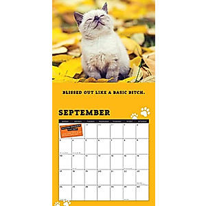 2023 Too F*cking Cute Cats Wall Calendar: A Year of D*mn Adorable Kitties (Funny Monthly Calendar & White Elephant Gag Gift for Cat Lovers)
