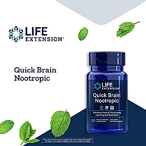 Life Extension Quick Brain Nootropic — Brain Supplement for Memory, Focus, Learning, Recall, Attention and Cognition – Gotu Kola, Bacopa, Once Daily, Gluten-Free, Non-GMO - 30 Vegetarian Capsules