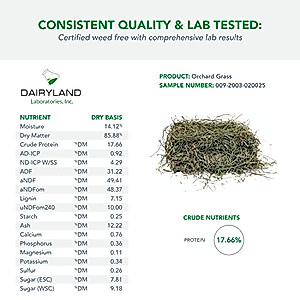 Viking Farmer Orchard Grass for Rabbits & Small Pets, 5 lbs