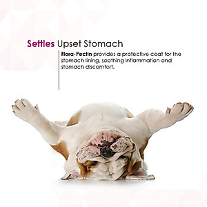 Oral Paste for Dogs & Cats-Helps Reduce Occasional Loose Stool & Diarrhea, Balance Gut pH, Support Normal Digestion & Intestinal Flora-Fast Acting (30 CC - Tasty Chicken Flavor)