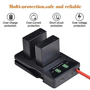 Pickle Power DMW-BLG10 DMW-BLG10PP DMW-BLE9 Battery and Charger for Panasonic Lumix DMC-GX7 DC-GX9 DMC-GX85 DMC-GF5 DMC-GF6 DMC-GF3 DC-ZS80 DMC-ZS60 DMC-LX100 DC-ZS200 DC-ZS70 DMC-GX80