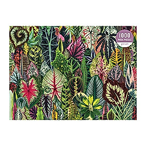 Galison Houseplant Jungle 1000 Piece Jigsaw Puzzle for Adults – Plant Jigsaw Puzzle with Mix of Succulents & Other Household Plants – Fun Indoor Activity, Multicolor
