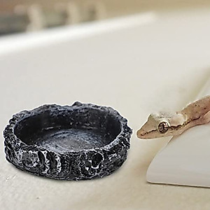 Ipetboom Reptile Food Bowl Reptile Water Bowls Reptile Feeder Food Dish Simulated Rock Food Bowl Terrarium Water Bowls Worm Dish for Tortoise Lizard Bearded Dragon Frog Leopard Gecko Snake