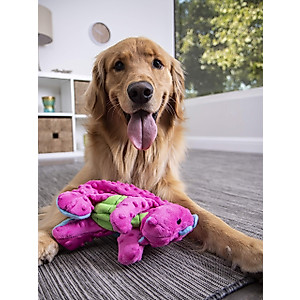 goDog Bubble Plush Dragons Squeaky Dog Toy, Chew Guard Technology - Pink, Large