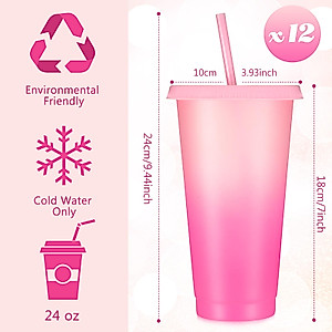 Lallisa Reusable Cups with Lids and Straws 24oz Plastic Cups for Adults Plastic Drink Water Bottle Travel Mug Iced Cold Drinking Cup for Bachelor Party Girls Party(Hot Pink, Pink, 12 Pcs)