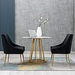 FUNESI Modern Velvet Accent Chair, Thick Sponge Upholstered Dining Chair with Golden Legs for Dining Room/Bedroom/Living Room/Office Set of 2(Black)