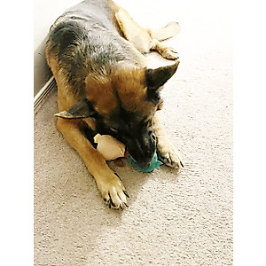Jalousie Multipack Dog Squeaky Toys Strong Almost Indestructible, with Added Liner for Longer Play Dog Chew Toys (Medium Size - 6 Pack Assorted Animals)