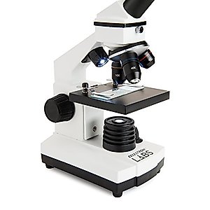 Celestron – Celestron Labs – Monocular Head Compound Microscope – 40-800x Magnification – Adjustable Mechanical Stage – Includes 2 Eyepieces and 10 Prepared Slides