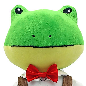 Playtime by Eimmie Plushible Plush Rag Doll - Soft Dolls for Baby, Boys, Girls, Toddler, & Infants - Washable Fabric - Sensory Toys - 14 Inch - Frog Plush - Stuffed Rag Dolls for Babies