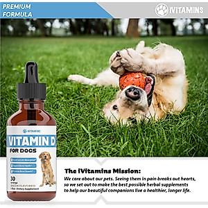 Vitamin D for Dogs | Supports Strong & Health Bones | Vitamin D Supplements for Dogs | Vitamin D Dog | Dog Vitamins and Supplements | Dog Vitamins Multivitamin | Vitamins for Dogs | 1 fl oz