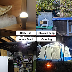 Flyhoom Solar Light Bulbs Dusk to Dawn Solar Lights Indoor, Portable Solar Chicken Coop Lights Hanging Solar LED Camping Lights, 2-Pack