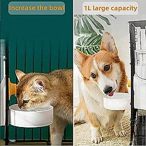 Aquarius CiCi Dog Cage Automatic Feeder Set, Food & Water Dispenser Hanging Bowls for Cage Crate Kennel (Green)