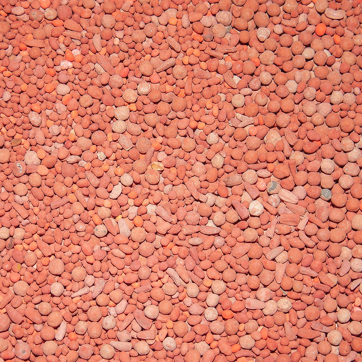 Antler King Trophy Clover Mix