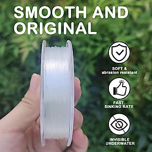 Aventik Pure Clear Fluorocarbon Fishing line Fishing Tippet Leader Line Sinking Fast Ultra-Low Visibility High Abrasion Resistance for Saltwater Freshwater Clear 6/8/10/15/20/25LB(20LB(9.1KG)-30Yards)