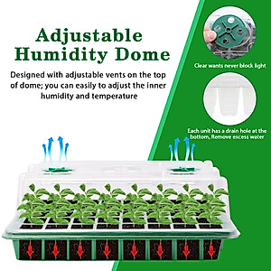 MQFORU 2 Pack Seed Starter Trays with Grow Light, 80 Cell Seed Starter Kit with Timer, Adjustable Domes, Plant Starter Trays Kit for Propagation, Cloning Plants, Seed Germination