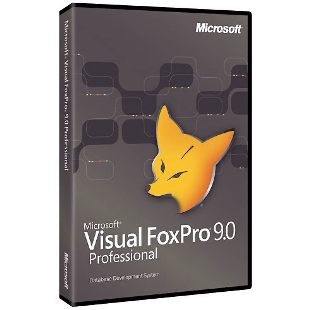 Microsoft Visual FoxPro 9.0 Professional Edition