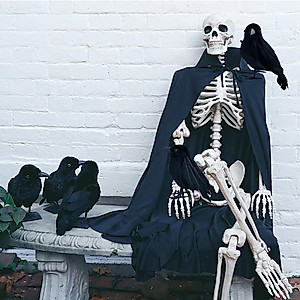 Pseutio 6 Pack Halloween Crows and Ravens Decorations Halloween Feathered Crows Realistic Looking Raven for Halloween Prop Decor