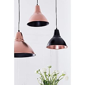 Montana Cans Montana GOLD 400 ml Color, Shock Black Spray Paint,MXG-S9000, 13.5 Ounce (Pack of 1)