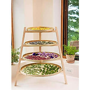 Gardener's Supply Company | Wooden Bamboo Herb Drying Rack | Floor Or Countertop Free Standing 4 Layers | with Removable Bamboo Mesh Trays | 20-1/2" W x 25" H