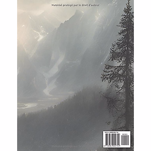 loup : livre de coloriage: Dessins étonnants de loups pour adultes (French Edition)