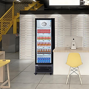 Commercial Beverage Refrigerator Display Fridge,9 Cu Ft Small Slims Single Glass Door Merchandiser Drink Cooler with LED Light Adjustable Shelves,ETL and NSF Approval