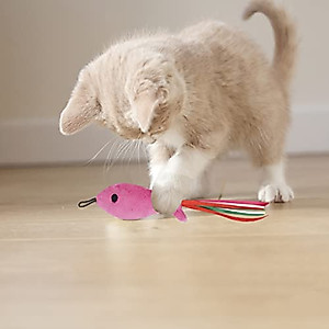 ZeyZoo 5Pcs Catnip Toy, Cat nip Pink Fish Interactive Cat Toy, Kitten Toys Catnip Filled Plush Toys, Feather Teaser Accessories for Cat Wand Toy, Kitten Teething Chew Toys for Cats