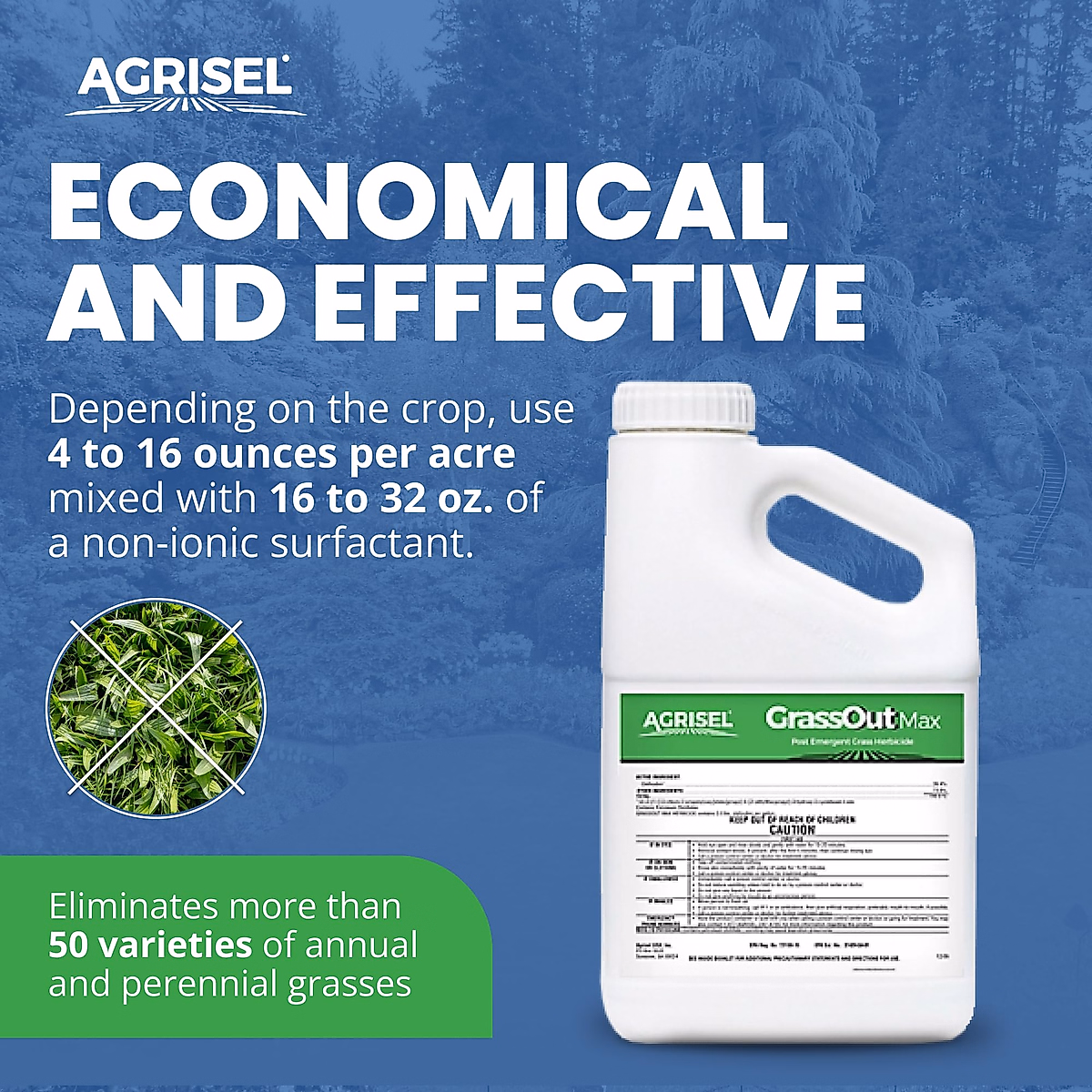 Agrisel GrassOut Max Weed Killer, Targets 50+ Grassy Weeds Without Harming Desired Plants, Pet Safe, Large Area Treatment, Easy Application, Includes 3-Pack of Agrisel Protective Gloves, 128 Ounces