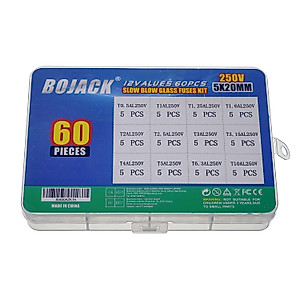 BOJACK 12 Values 60 pcs Slow Blow Glass Fuses Assortment Kit 5x20mm 250V T0.5A 1A 1.25A 1.6A 2A 2.5A 3A 3.15A 4A 5A 6.3A 10A packag in a Clear Plastic Box