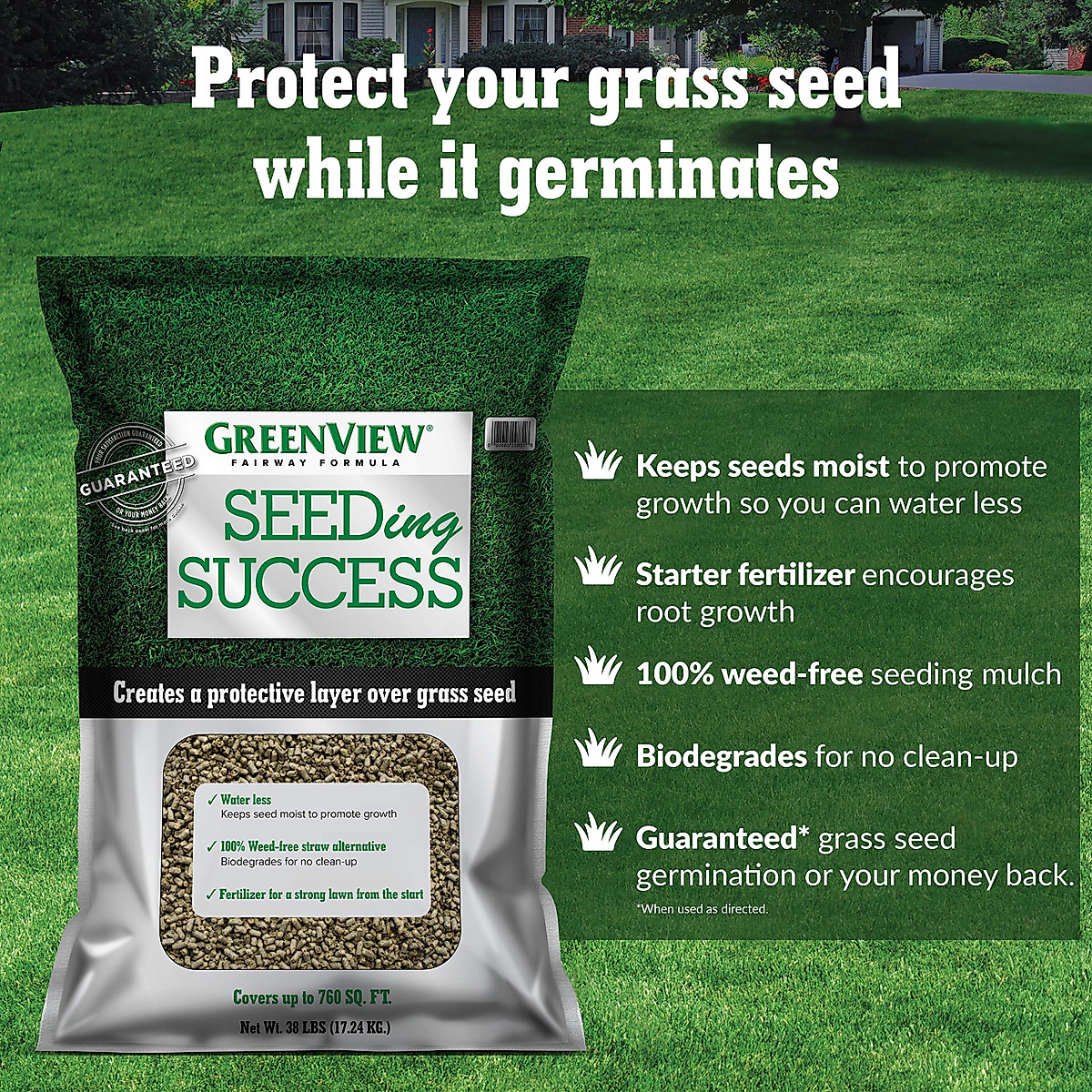 GreenView Fairway Formula Grass Seed Perennial Ryegrass Blend - 20 lb. Bag
