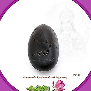 Vedic Vaani Sacred Vishnu Adwaitya Charan Paduka Shaligram for Puja (Pack of 5)