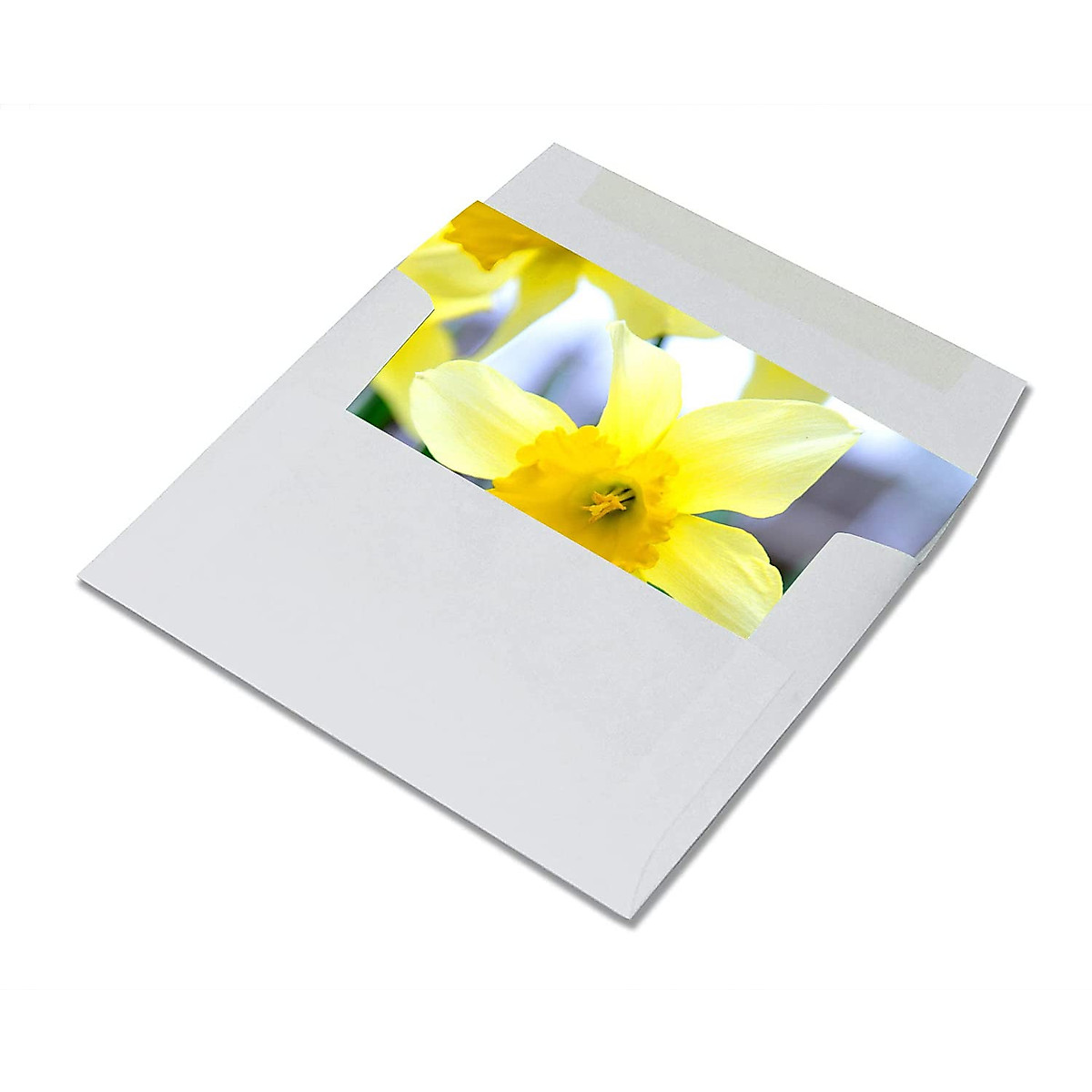 Small World Greetings Spring Flowers Notecards 24 Count - Blank Inside with Envelopes - A2 Size 5.5" x 4.25" - Floral Stationery - All Occasion Birthday, Thank You, and More