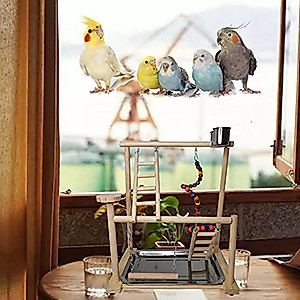 Parrots Playground, Bird Play Gym Wood Perch Stand Colours Revolving Climb Ladders Swing Chewing Toys with Parakeet Feeding Cups Exercise Activity Center for Conure Cockatiel Lovebirds(Include a Tray)