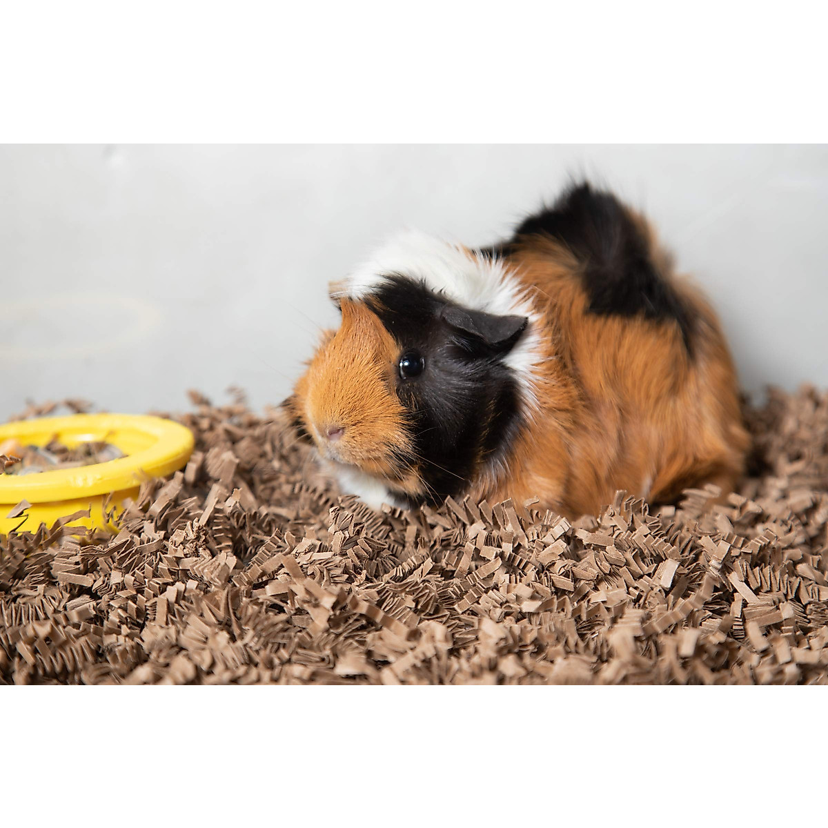 FiberCore Eco-Bedding Odor Control Pet